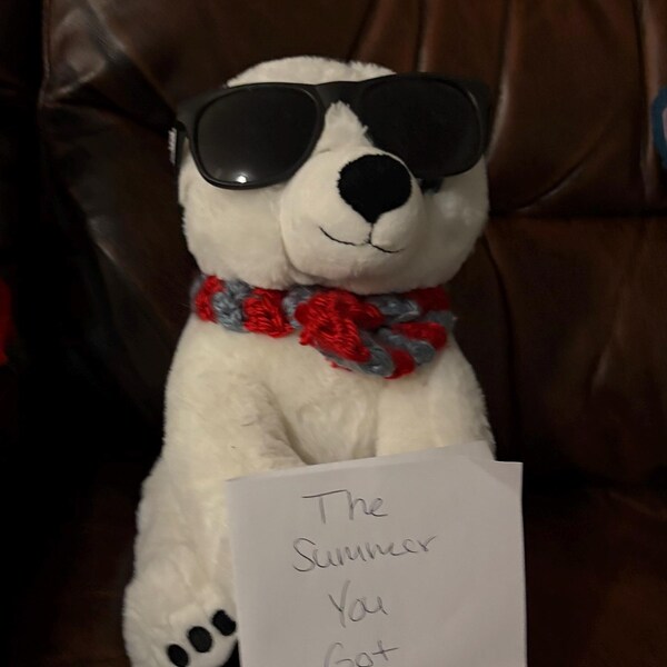 Junior Mint Inspired Stuffed Animal | the Summer I Turned Pretty ...