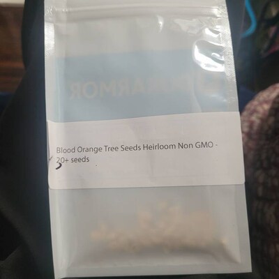 Fresh Spineless Thornless Edible Nopales Cactus Pear Pad Prickly Pears ...