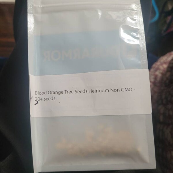 Golden Hami Melon Heirloom Seeds - Etsy