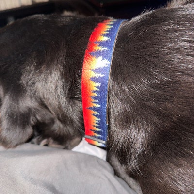 Treeline Dog Collar Trees Forest Nature Outdoors - Etsy