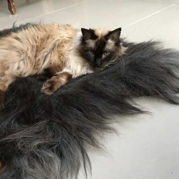 My Girlfriend Beats Me T-shirt , Funny Relationship Shirt , Quirky ...