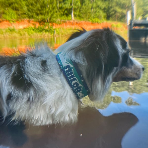 Custom Name Splatter Paint - Biothane Dog Collar - Two-tone 1.5 in ...