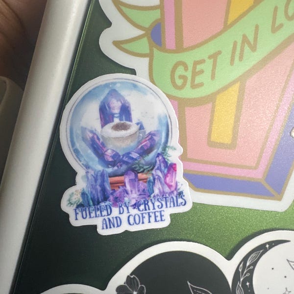 Shark Shirt, Cottagecore Shirt, Shark Species Tee, Great White ...