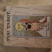 Tyro Tarot Deck and Guidebook by Zodiapp Illustrated by Julia - Etsy