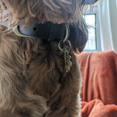 Personalised Oak Leaf Dog ID Name Tag in Brass - Etsy