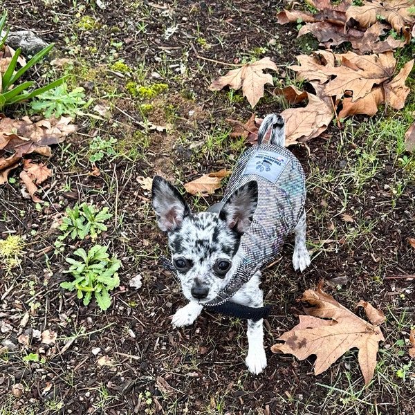The Hawk Star Pet Protection Vest - Etsy