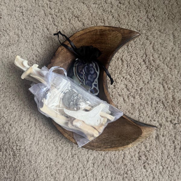 Mini Travel Bone Throwing Set Yes or No / Crystals / Animal Bones / Osteomancy / Bone Reading ...