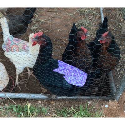 Chicken Diapers/ Hen Diapers/ Birds Diapers/rooster Diaper - Etsy