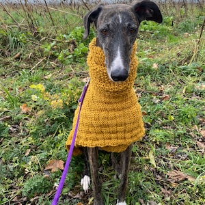 Dog Snood Knitting Pattern/ Written and Chart Instructions / All Sizes ...