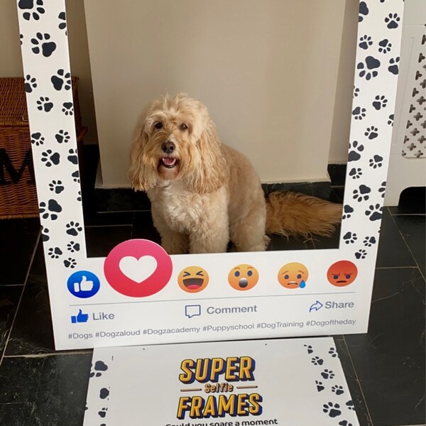 PRINTED Premium Personalised Linkedin Profile Selfie Frame Ideal for ...