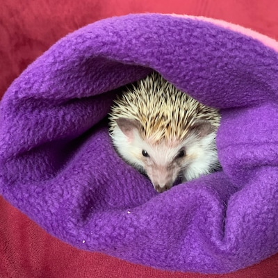Hedgehog Snuggle Sack. Snuggle Pouch or Sleeping Bag for Hedgehog ...