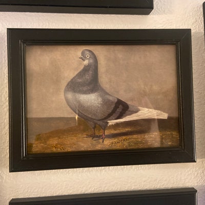 Year-at-a-glance Pigeon Art 2024 Wall Calendar. Vintage Desk Calendar ...
