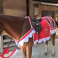 Destrier Horse Costume Medieval Barding Costume Equine Jousting ...