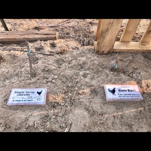 Chicken Memorial Stone - Personalized Pet Memorial Gift - Pet Loss ...