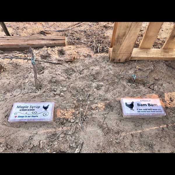 Chicken Memorial Stone - Personalized Pet Memorial Gift - Pet Loss ...