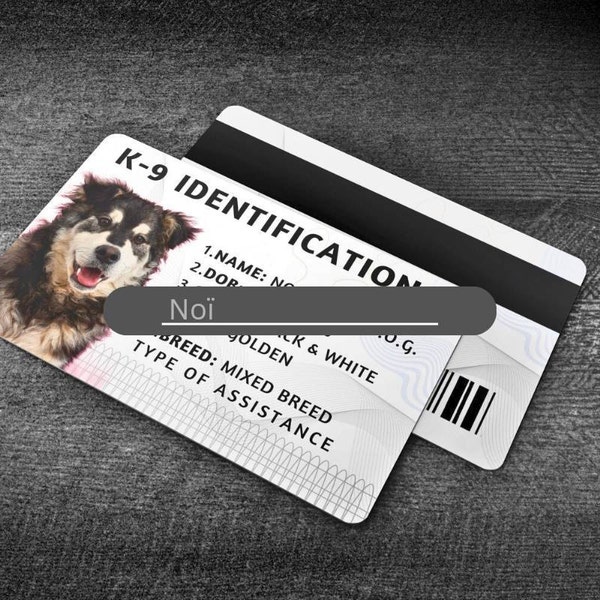 Editable Hawaii Driver License Replica: Novelty ID Card (digital ...