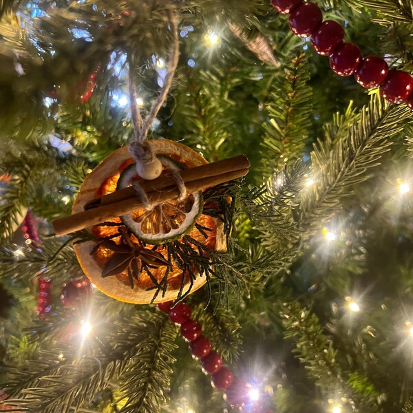 Citrus & Cinnamon Handmade Ornament Set - Etsy