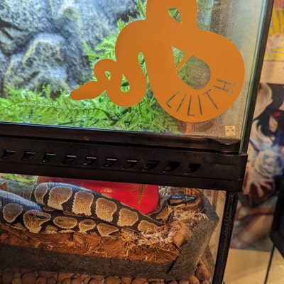 Customizable Name Ball Python Snake Vinyl Decal READ DESCRIPTION - Etsy