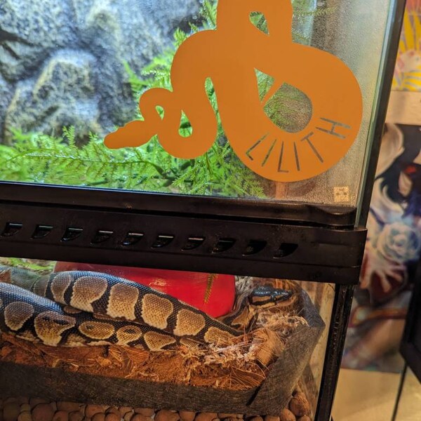 Customizable Name Ball Python Snake Vinyl Decal (READ DESCRIPTION) - Etsy