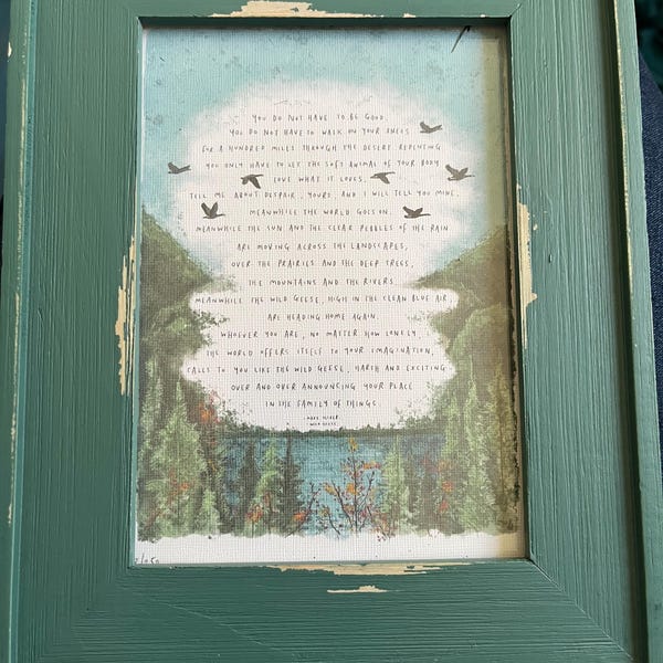 Summers Day by Mary Oliver / Grasshopper / Wild Precious Life / Art ...