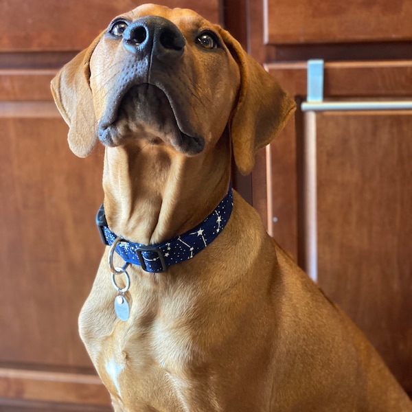 Dog Collar, Big Dipper, Stars, Constellations, Key Fob, Keychain, Glow ...