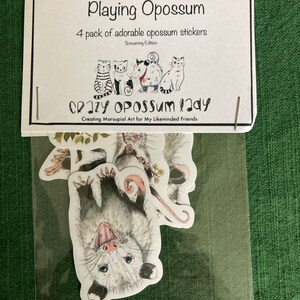 Sticker: Vintage Rainbow Possum Opossum Planner Craft Vinyl - Etsy