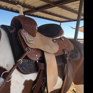 Saddle Concho Set Saddle Conchos Saddle Concho Conchos | Etsy