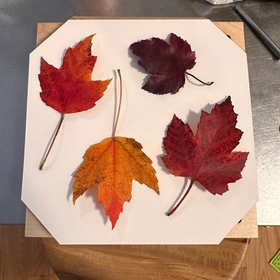 Mini Flower Press Small Portable Pocket Press Gift for Plant Lover ...