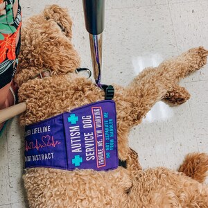 1 Patch IGNORE ME 8 inches x 3 inches Sew on customizable | Etsy