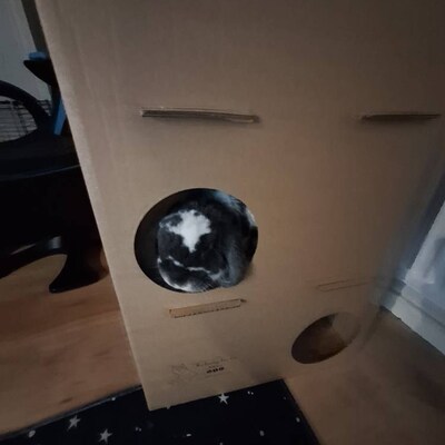 The Castle Corrugated Cardboard Castle for Bunny Rabbits & Cats - Etsy UK