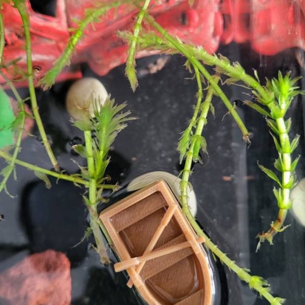 Rowboat Floating Decor | Decorative Aquarium Floater | Water Surface ...