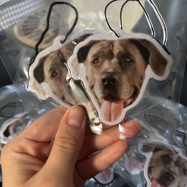 Put Your Pet on a Baseball Cap, Custom Embroidered Dog Portrait Cap ...