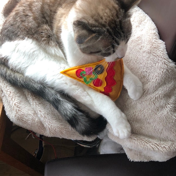 Cat Toys Catnip Pizza Catnip Toy for Cat Gift for Cat Lover Organic ...