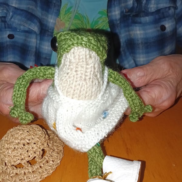 Knitted Frog With Summer Outfit, Plush Frog, Amigurumi Frog, Knitted ...