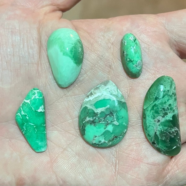 Real Agatized Dino Bone 7 Piece Parcel, Uncut Dinosaur Bone Lot ...