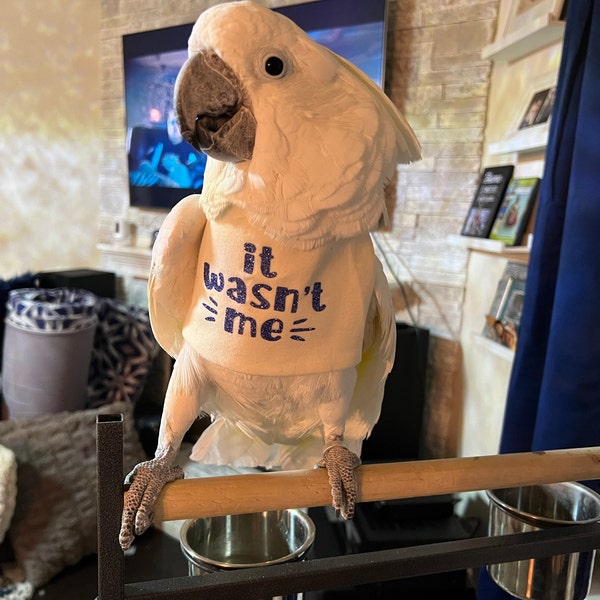 Bird Tuxedo | Bird Diaper | Bird Flightsuit | Bird Costume | Tux With ...