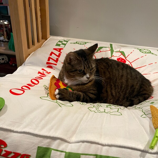 Cat Toys Catnip Pizza Catnip Toy for Cat Gift for Cat Lover Organic ...