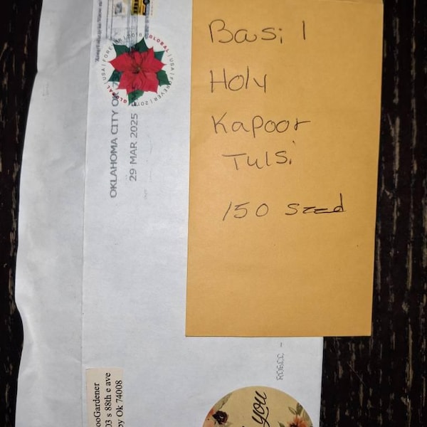 Pansy Lake of Thunder Heirloom Flower Seeds 25 - Etsy