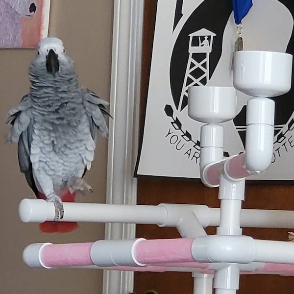 Deluxe Parrot Fun and Play! Pvc FLOOR Perch or Table Top Gym #16c,16b ...