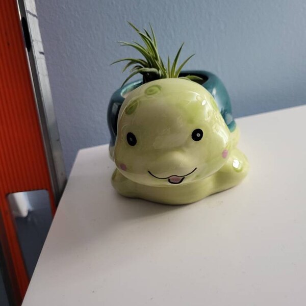 Sea Turtle Planter With Airplant, Ceramic Planter, Pot With Air Plant ...