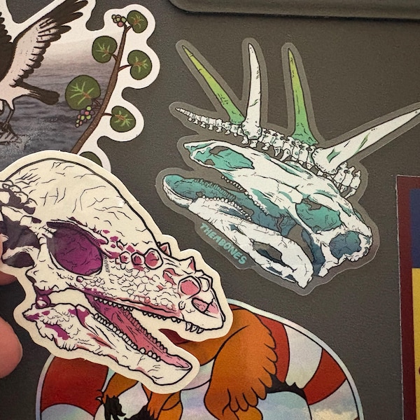 Herbivore Dinosaur Skull Stickers: Clear Vinyl Decals - Etsy