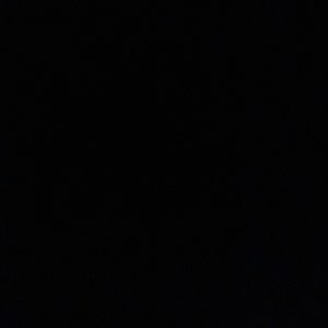 Fleabag Mug, Quirky Fleabag Gifts, Fun Birthday Gifts, Flea Bag Quote ...