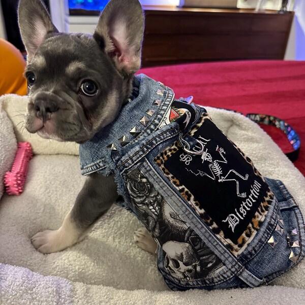 Large Punk Rock Dog Jacket/battle Vest Featuring Cute as Hell Baphomet ...