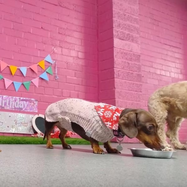 Beldardesigns, SUPERNATURAL Devils Trap - 14ct Cross Stitch Pattern OR ...