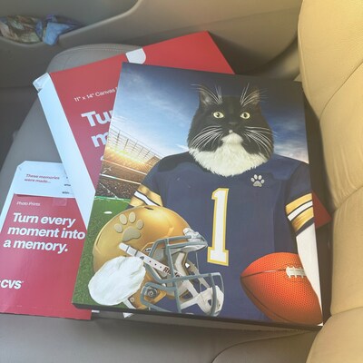 Custom Royal Pets Portrait, Group Fish Portrait, Gift for Fish Owner - Etsy