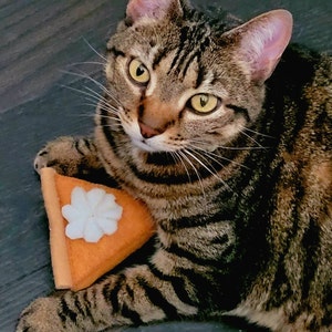 Caramel Apple Cat Toy - Etsy