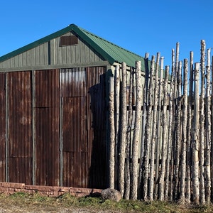 Metal Roofing Barn Silver Tin With Some Rust Areas Beautiful Reclaimed ...