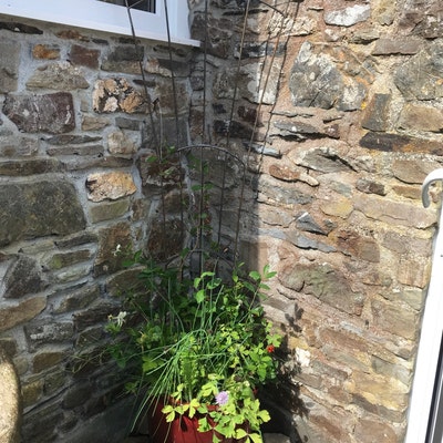 Obelisks, Large Metal Garden Obelisk With Twist Top, Rustic Plant ...