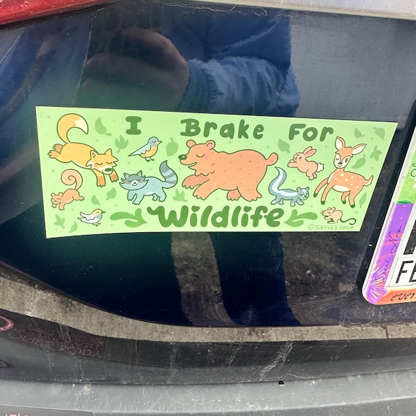 Digital Artist Sticker, Control Z, Undo, Ctrl Z, Designer, Illustrator ...