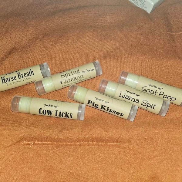 Choose Your Own, Funny Lip Balm, Little Gifts Ideas, Party Favors ...